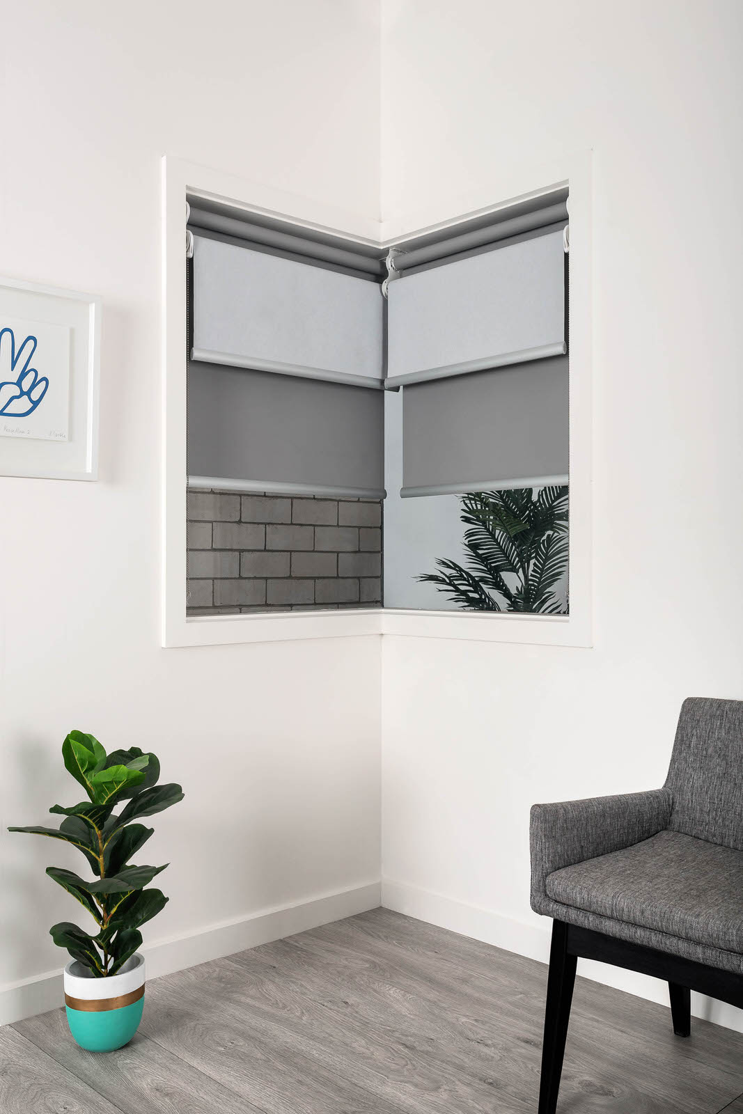 Volume Gallery | Lovelight